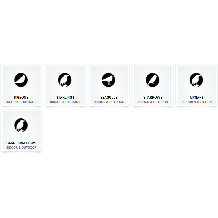 BIRD AWAY™ Visual Olfactory Bird Repellent 225g – DIY Pest Products