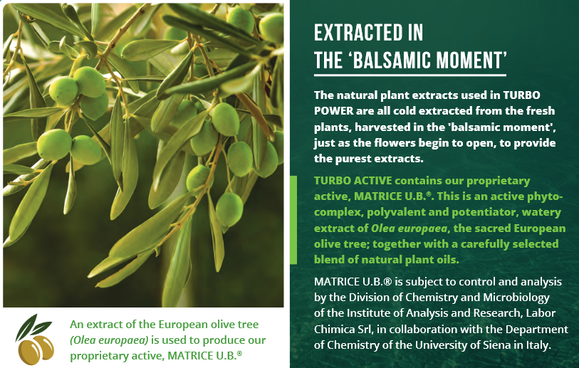 ECOTHOR® ACTIVE NATURE TURBO ACTIVE | Shop Online – DIY Pest Products