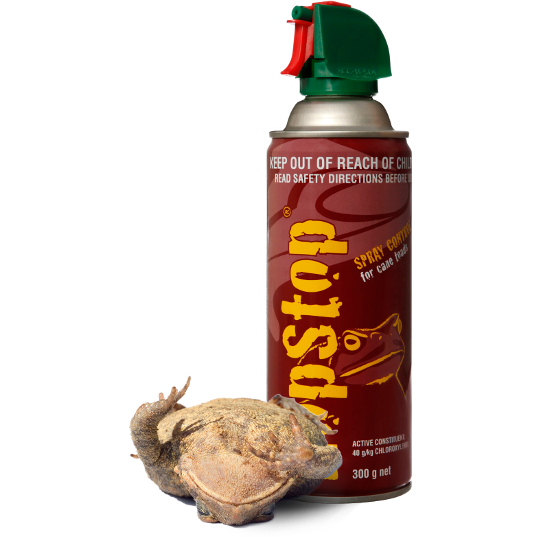 HopStop Humane Spray for Cane Toads 300g – DIY Pest Products